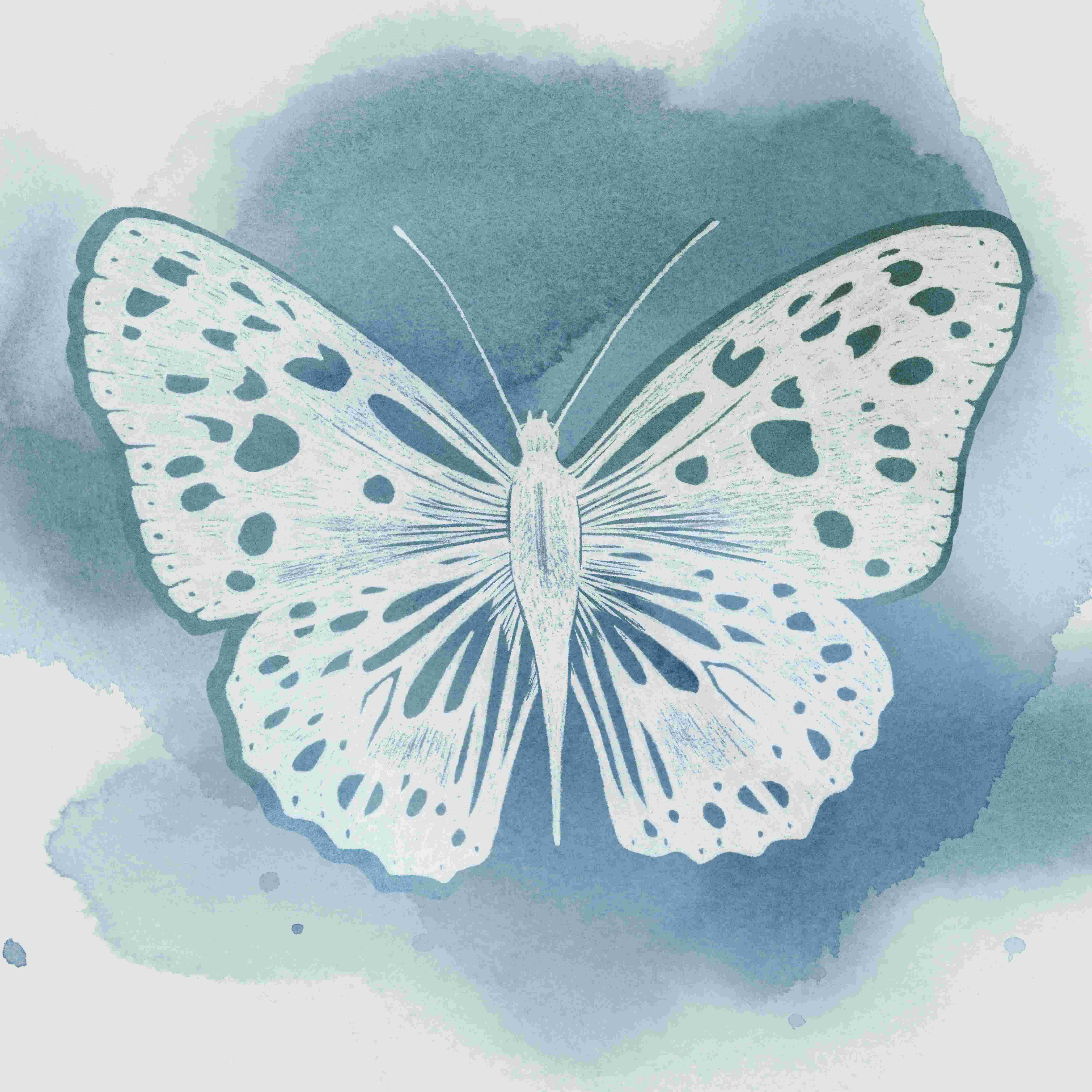 August Grove® Beryl Butterfly I by Grace Popp - Wrapped Canvas Print | Wayfair